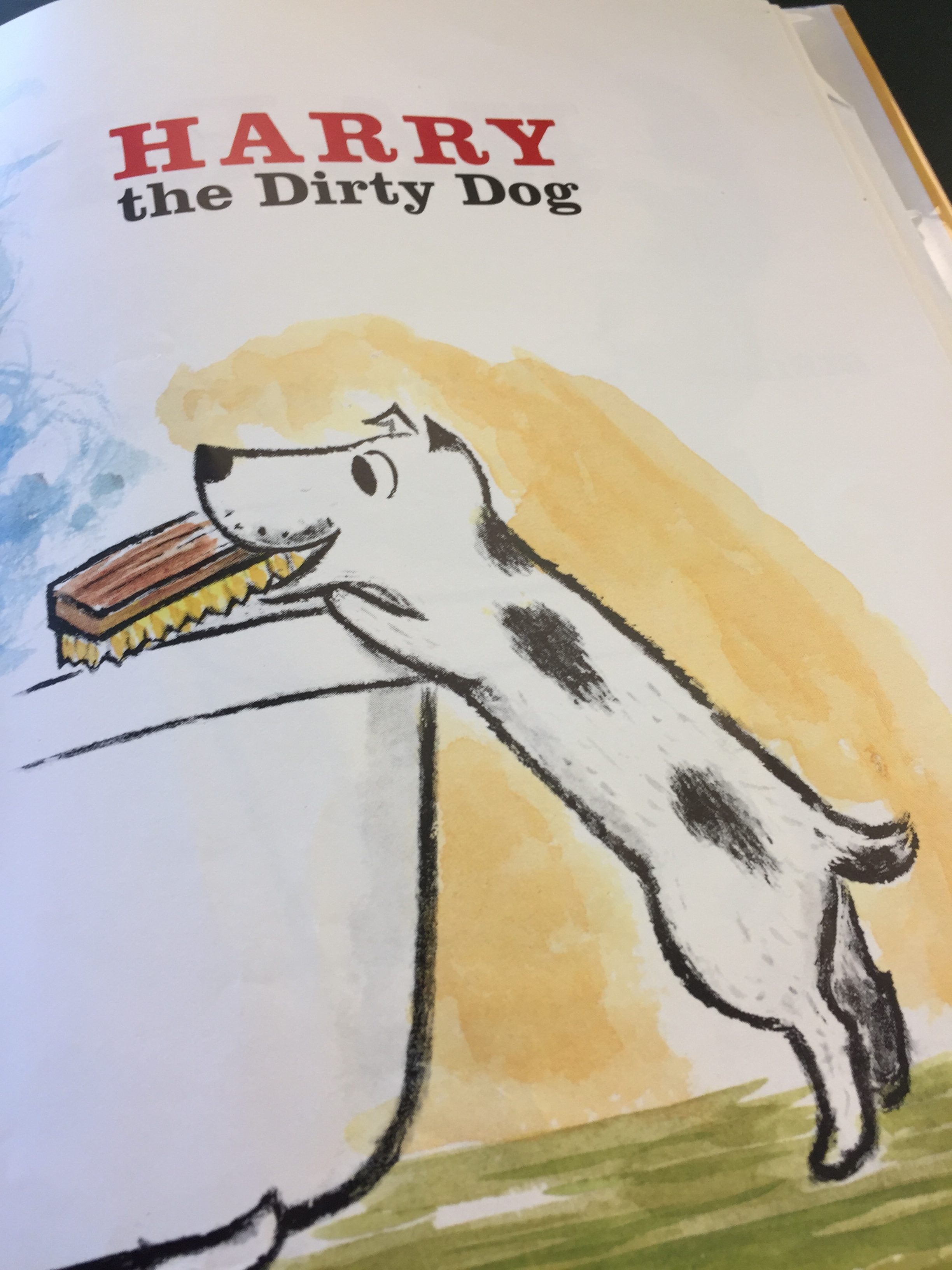 Harry the Dirty Dog